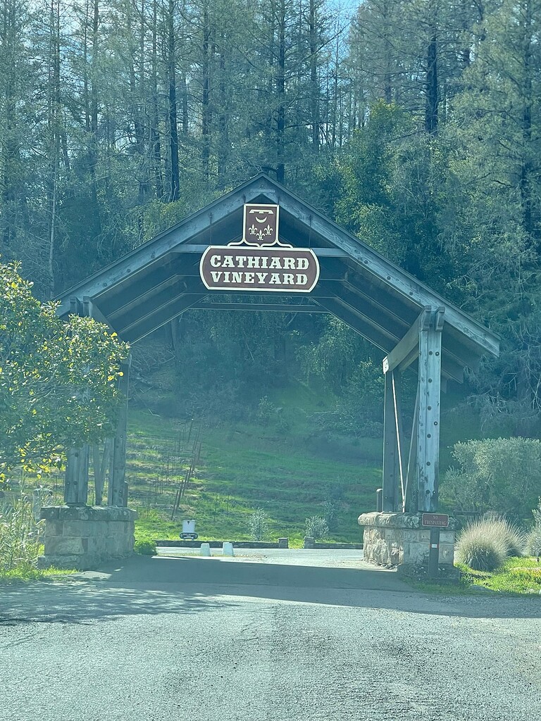 Cathiard Vineyard visit February 2023 - WINE TALK - WineBerserkers