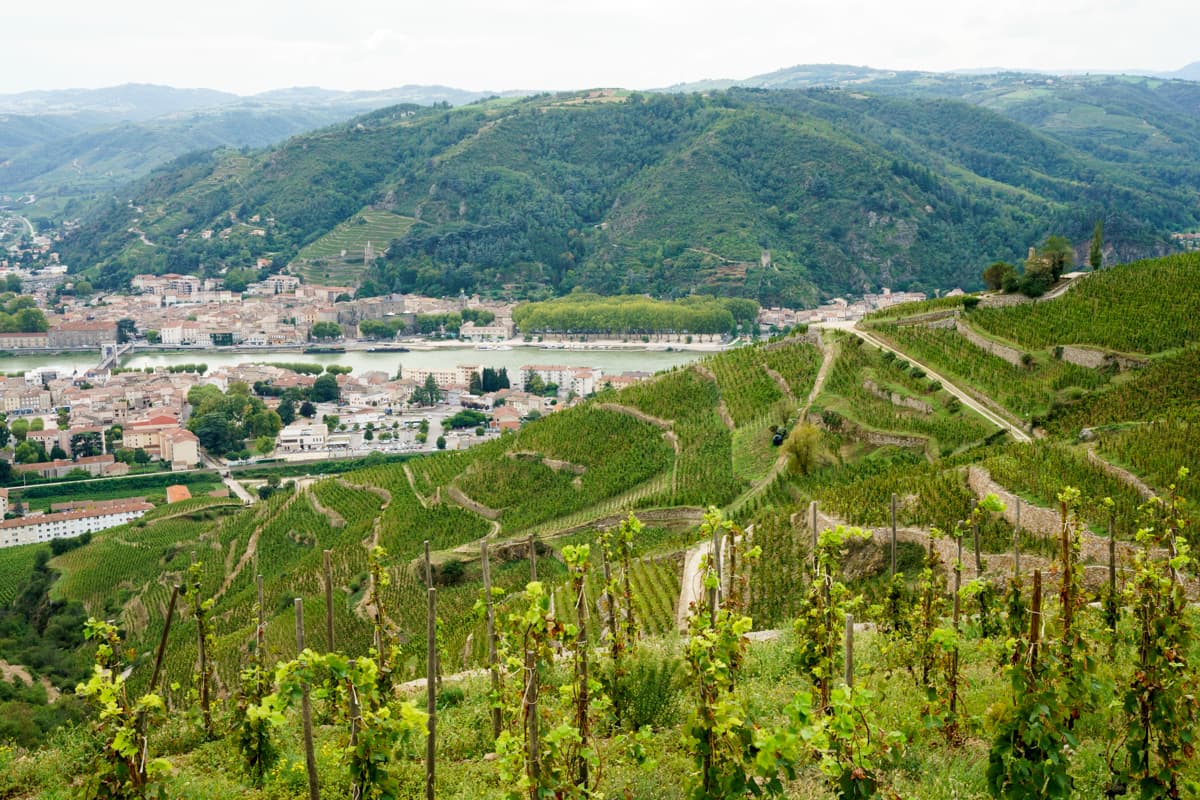 Chateauneuf du Pape and Hermitage - pit stops during my recent vacation ...