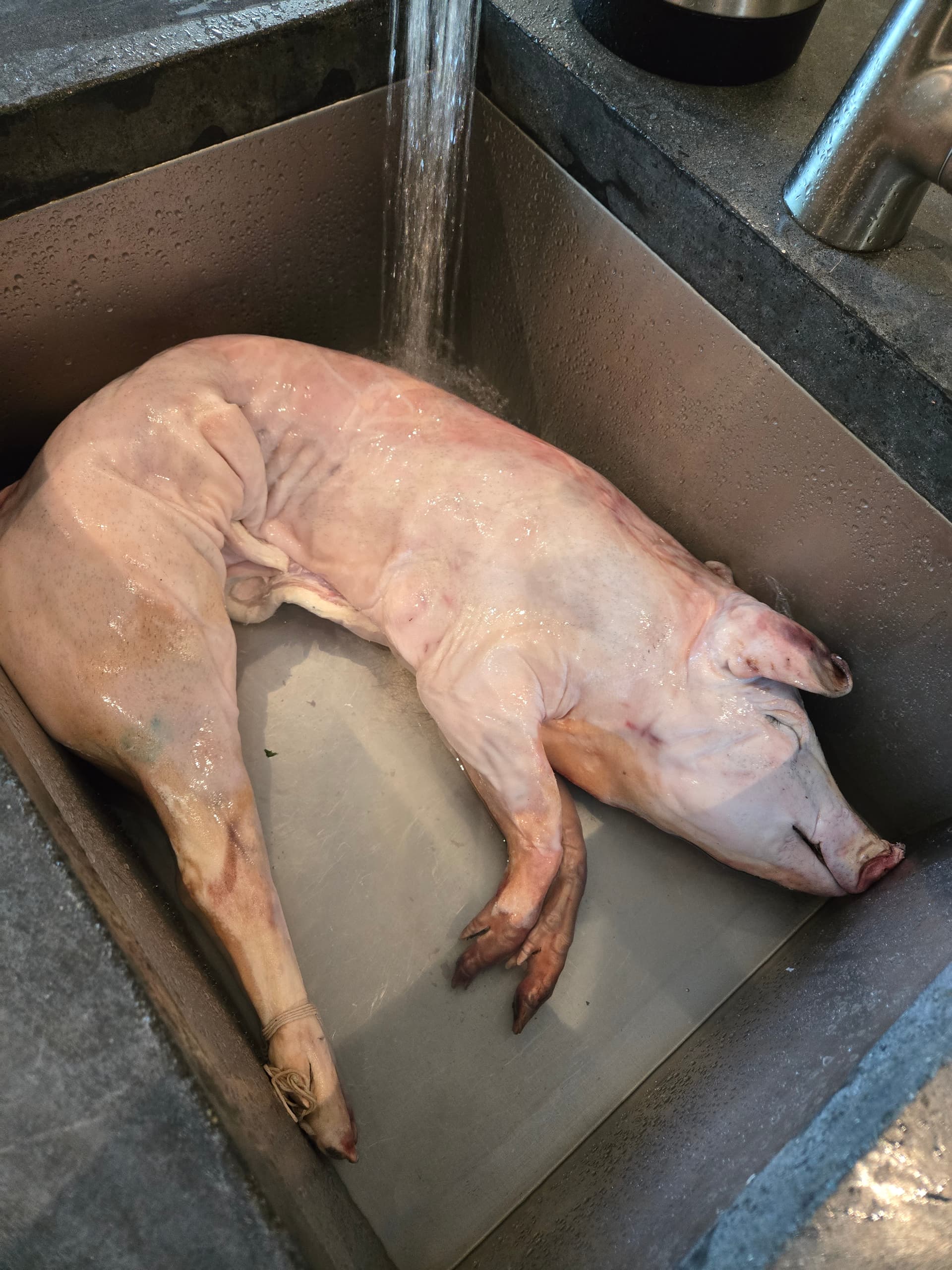 What did you cook tonight? - #5928 by Sarah_Kirschbaum - Epicurean ...