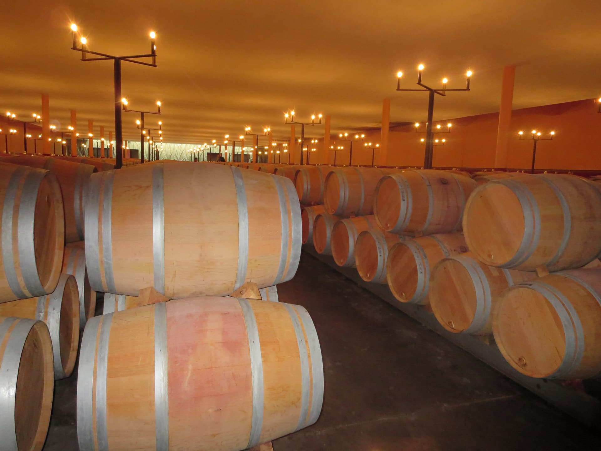 Cellar Talk - WINE TALK - WineBerserkers
