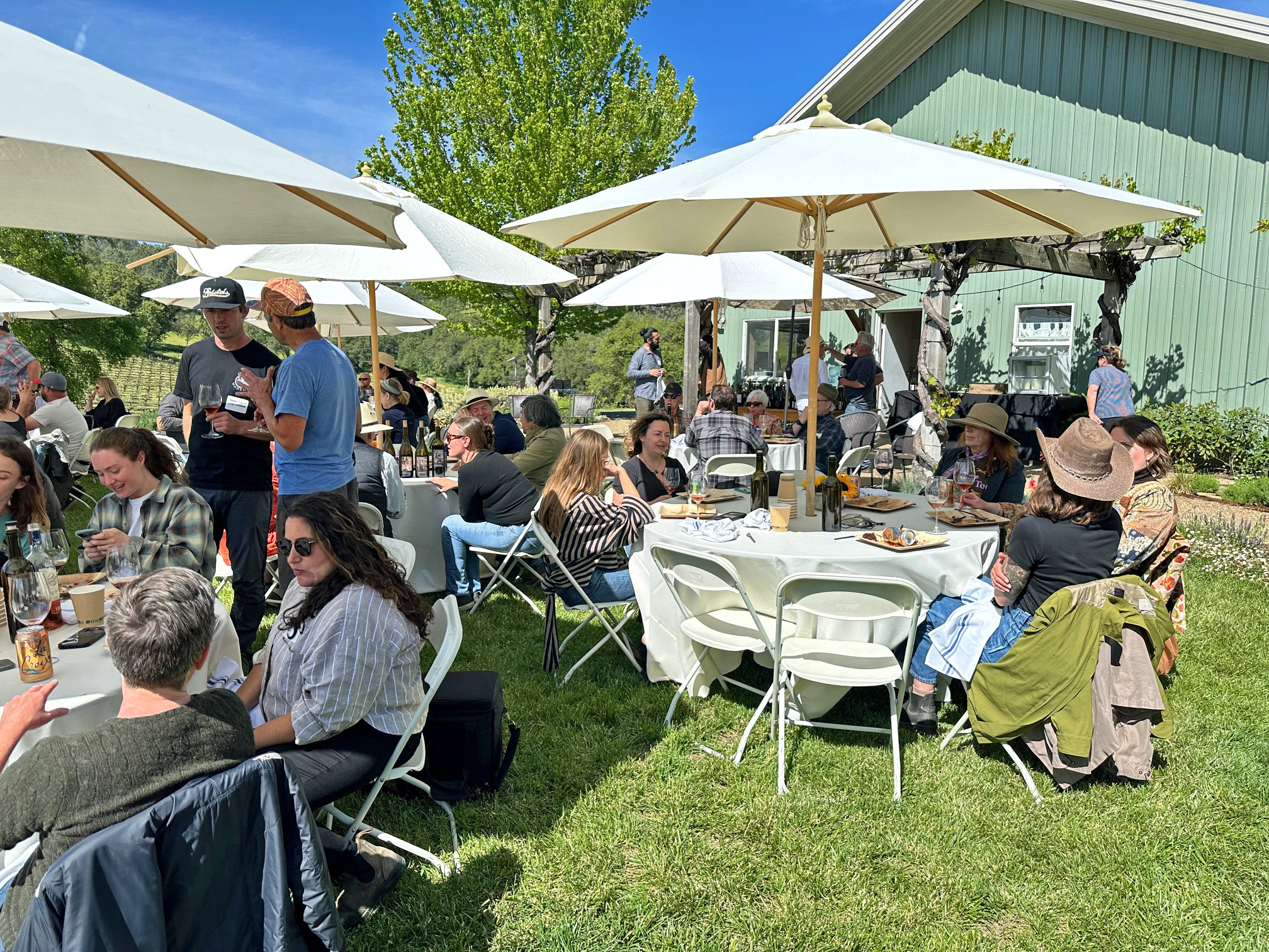 Shades of Shake Ridge, May 6, 2024 – a tasting of wines sourced from ...