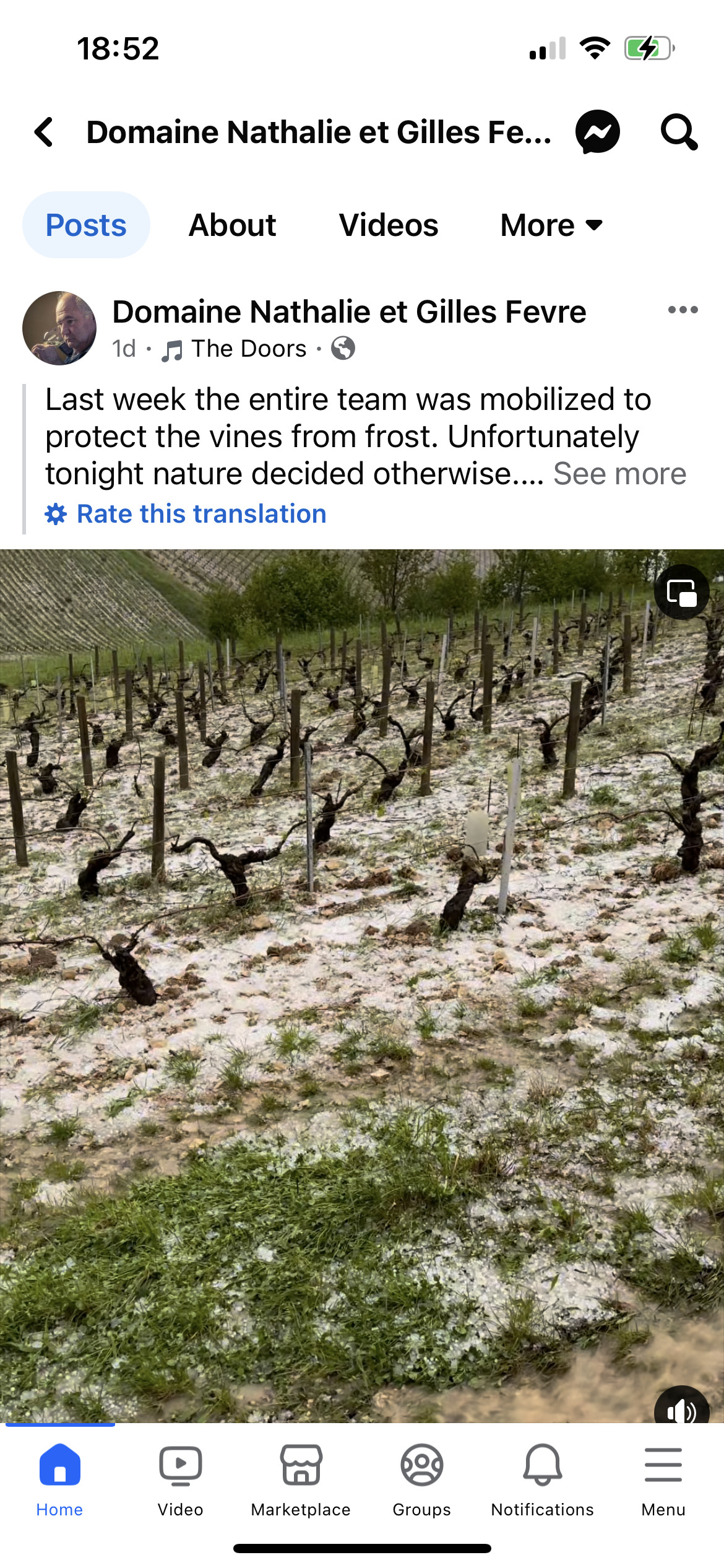 Devastating Hail In Chablis - WINE TALK - WineBerserkers