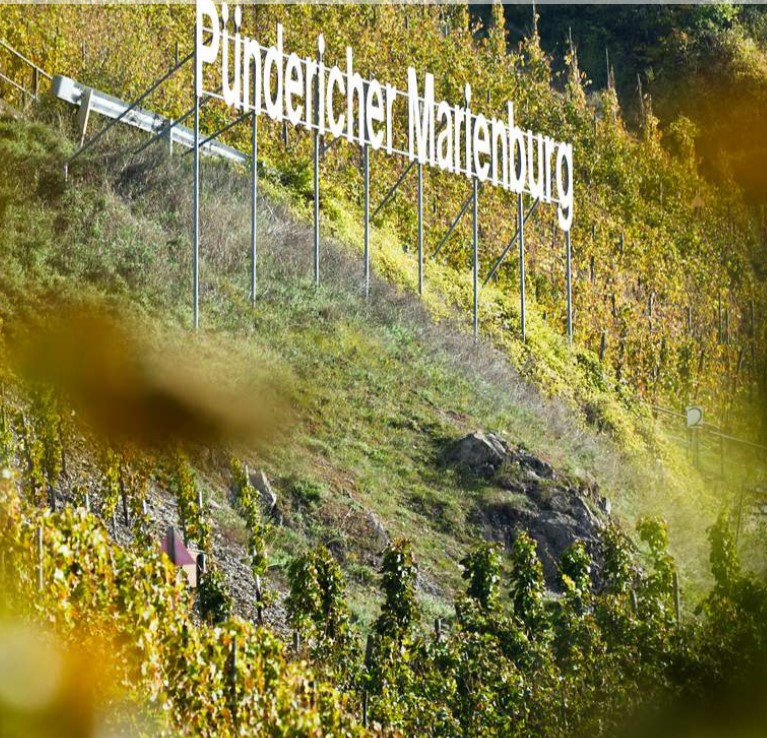Clemens Busch Plus - WINE TALK - WineBerserkers