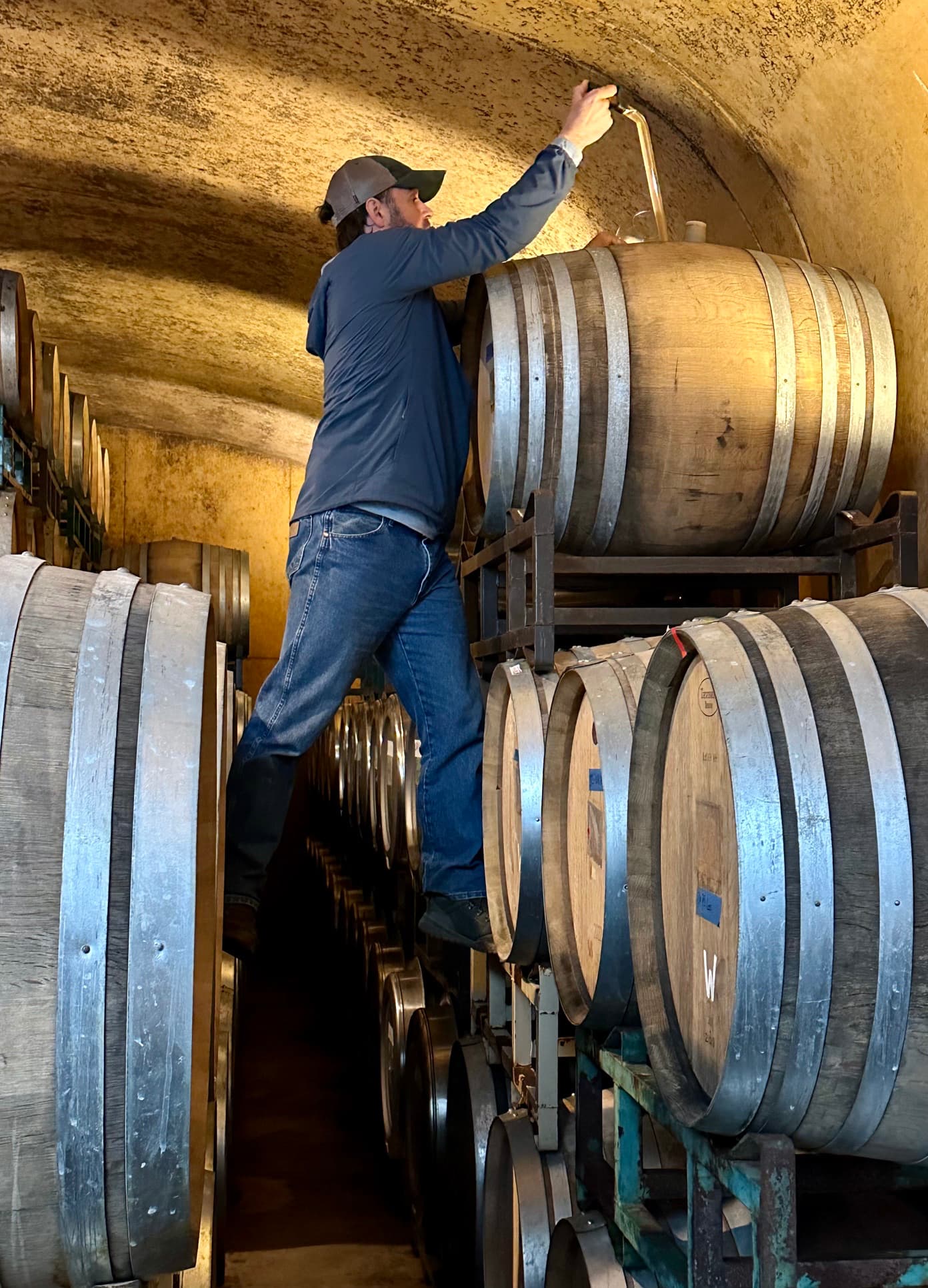 Oregon Wine Visits, May 2026 – Part 2 (Soter, White Rose) - WINE TALK ...