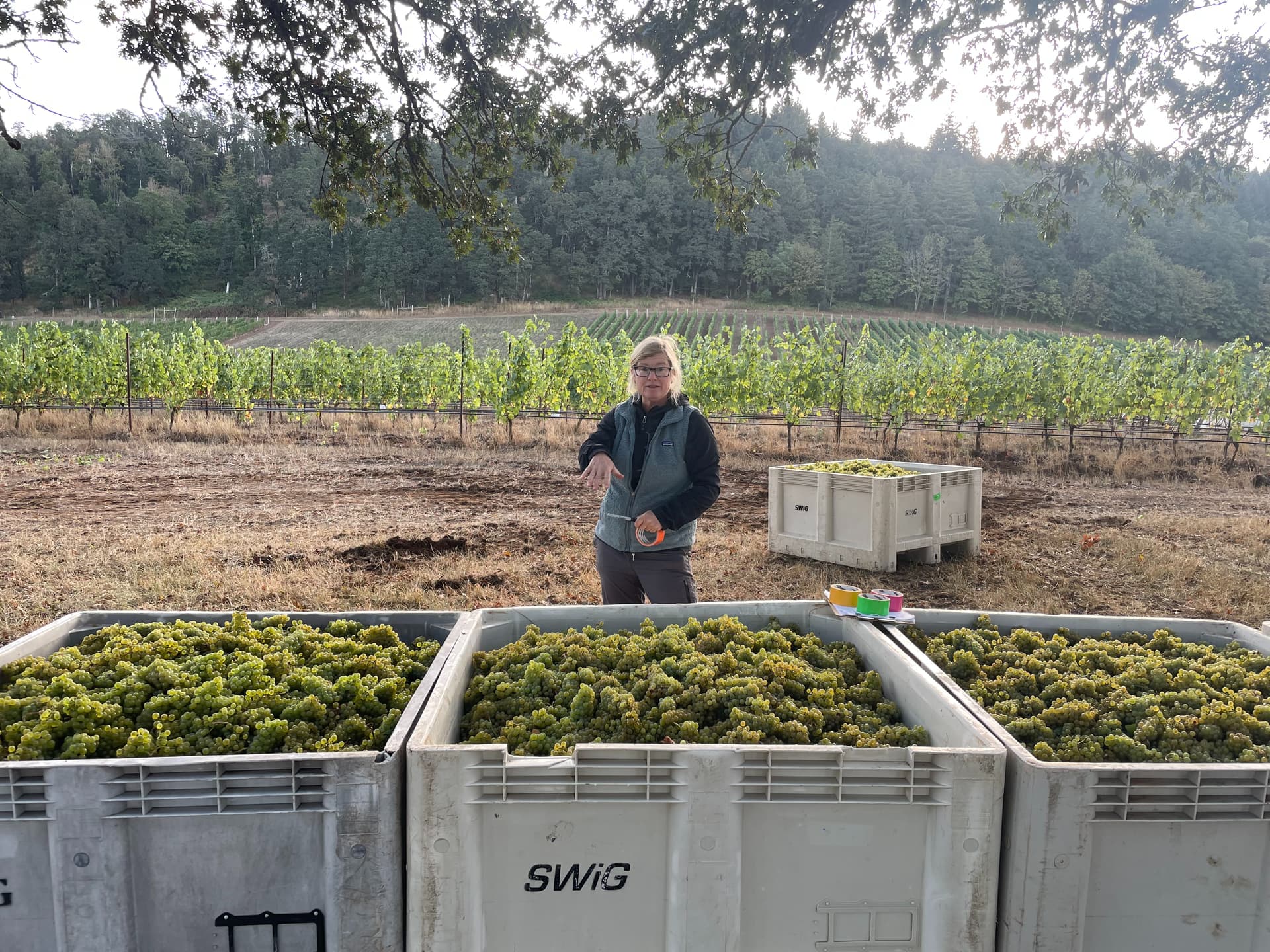 EXTENDED until SUNDAY! | PERKINS-HARTER | GROWER-PRODUCER WINES | eola ...
