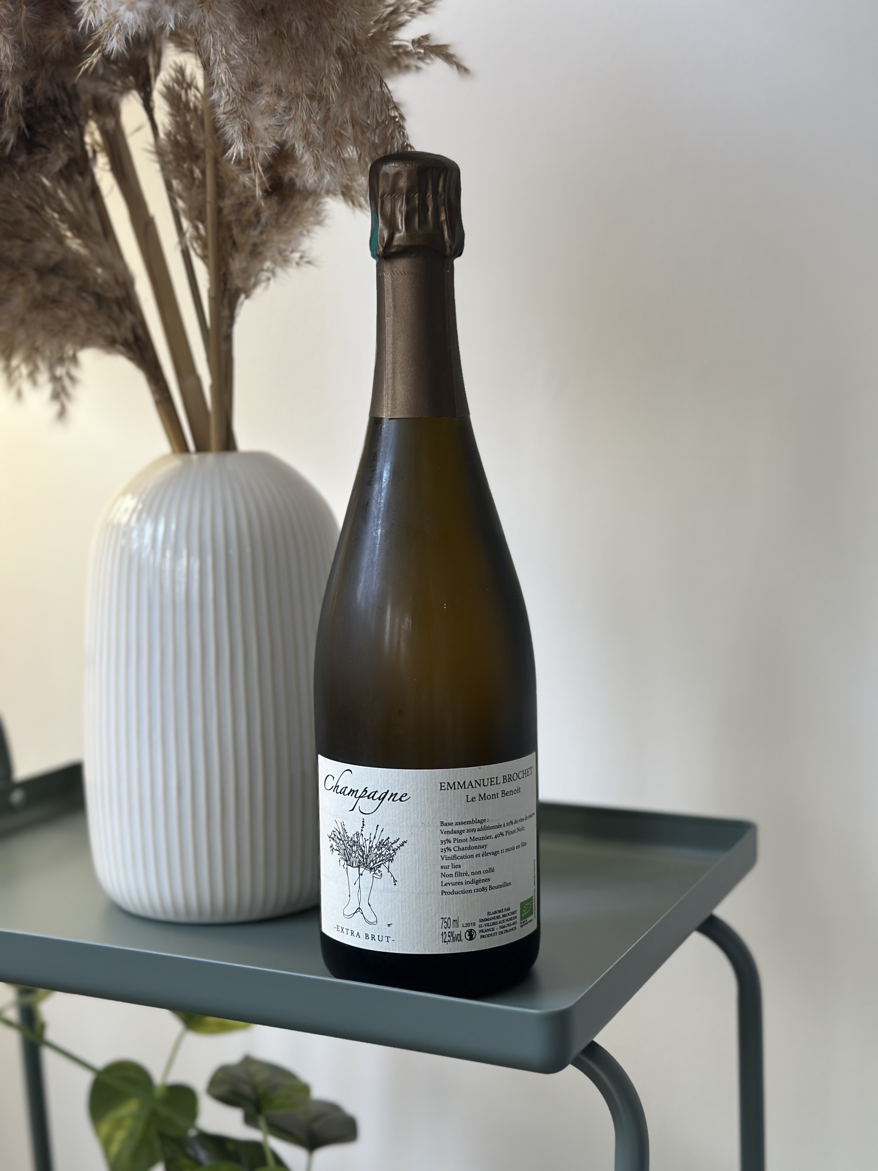 Which Champagne are you drinking? - Page 597 - WINE TALK - WineBerserkers