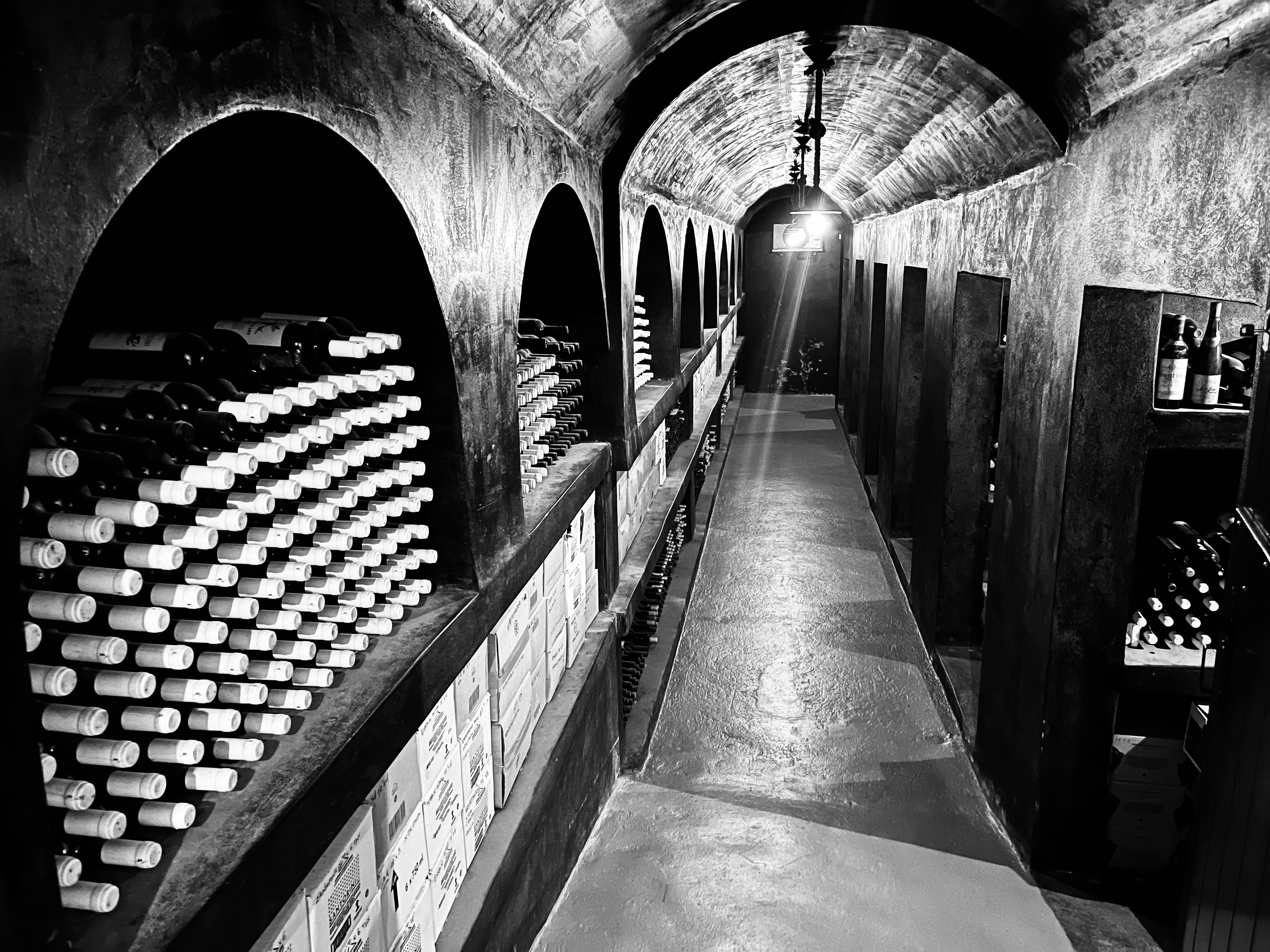 Cellar Talk - WINE TALK - WineBerserkers