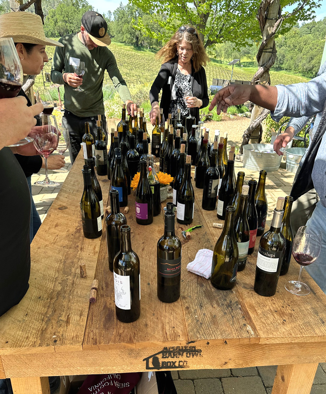 Shades of Shake Ridge, May 6, 2024 – a tasting of wines sourced from ...