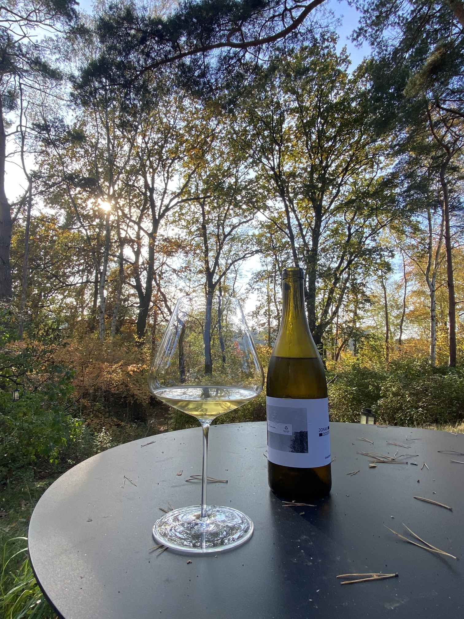 TN: 2022 Jonas Dostert, Chardonnay, Mosel - WINE TALK - WineBerserkers