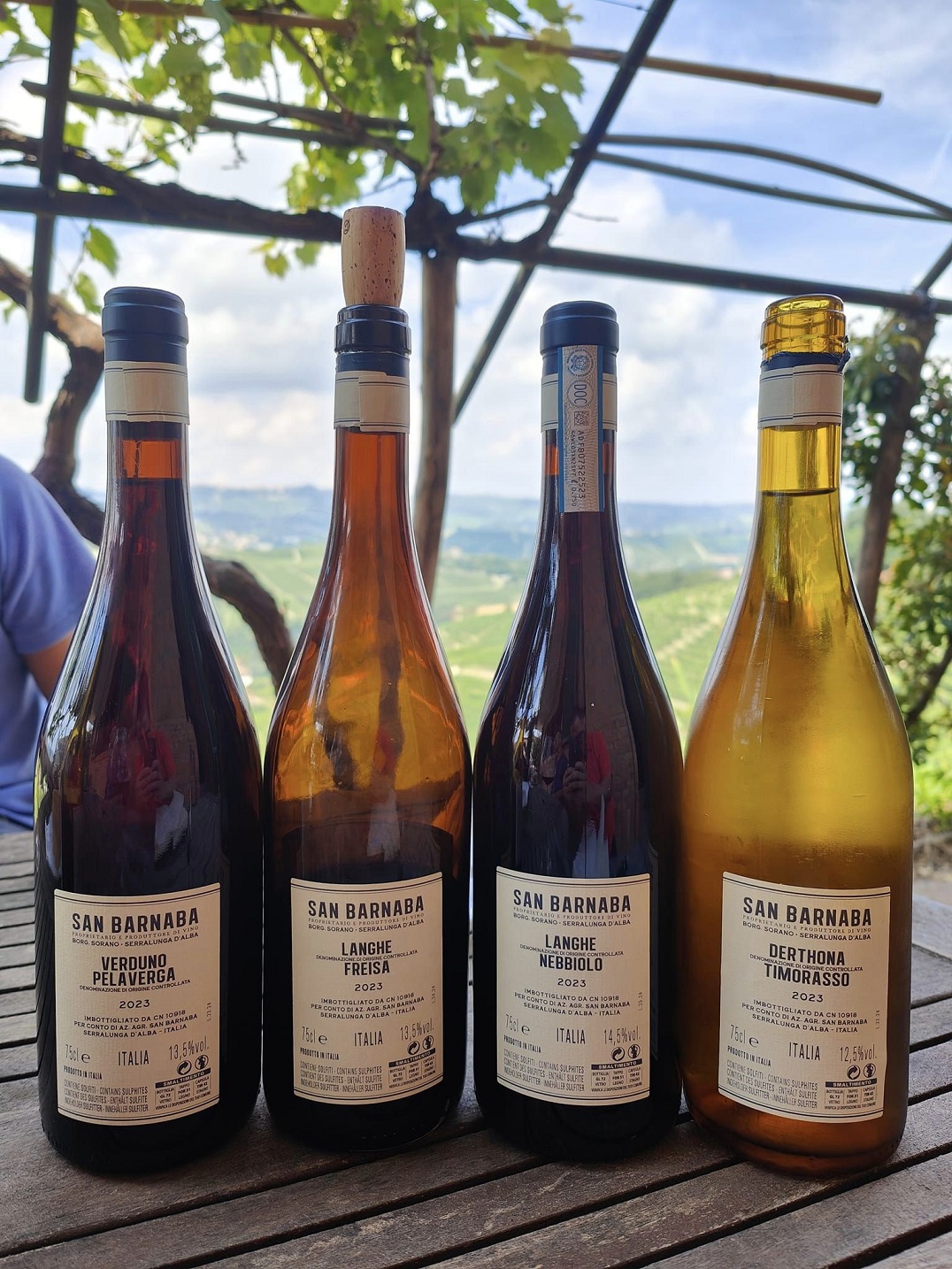 San Barnaba ~ new producer in Piedmont (Serralunga based), info ...