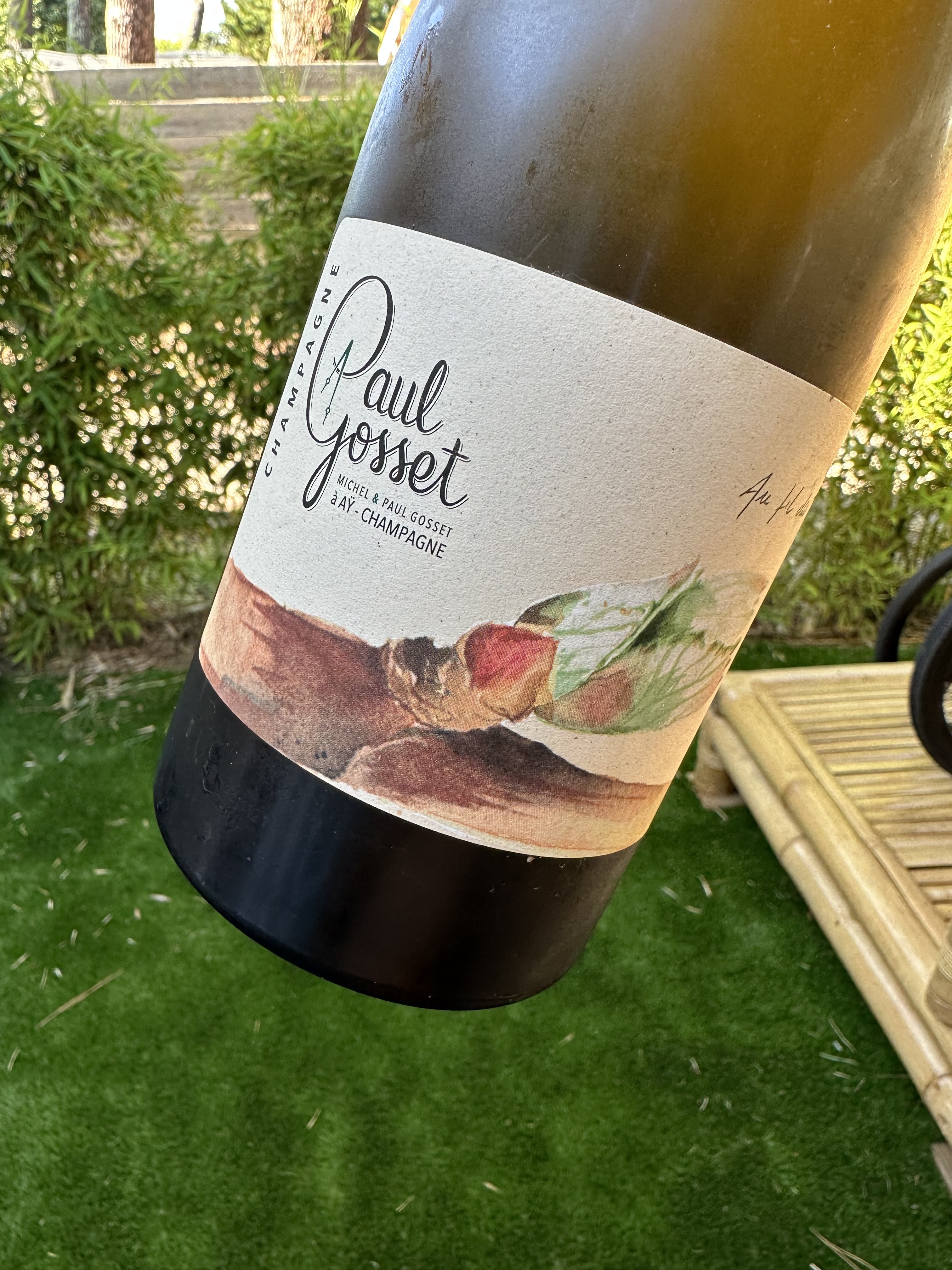 Which Champagne are you drinking? - Page 348 - WINE TALK - WineBerserkers