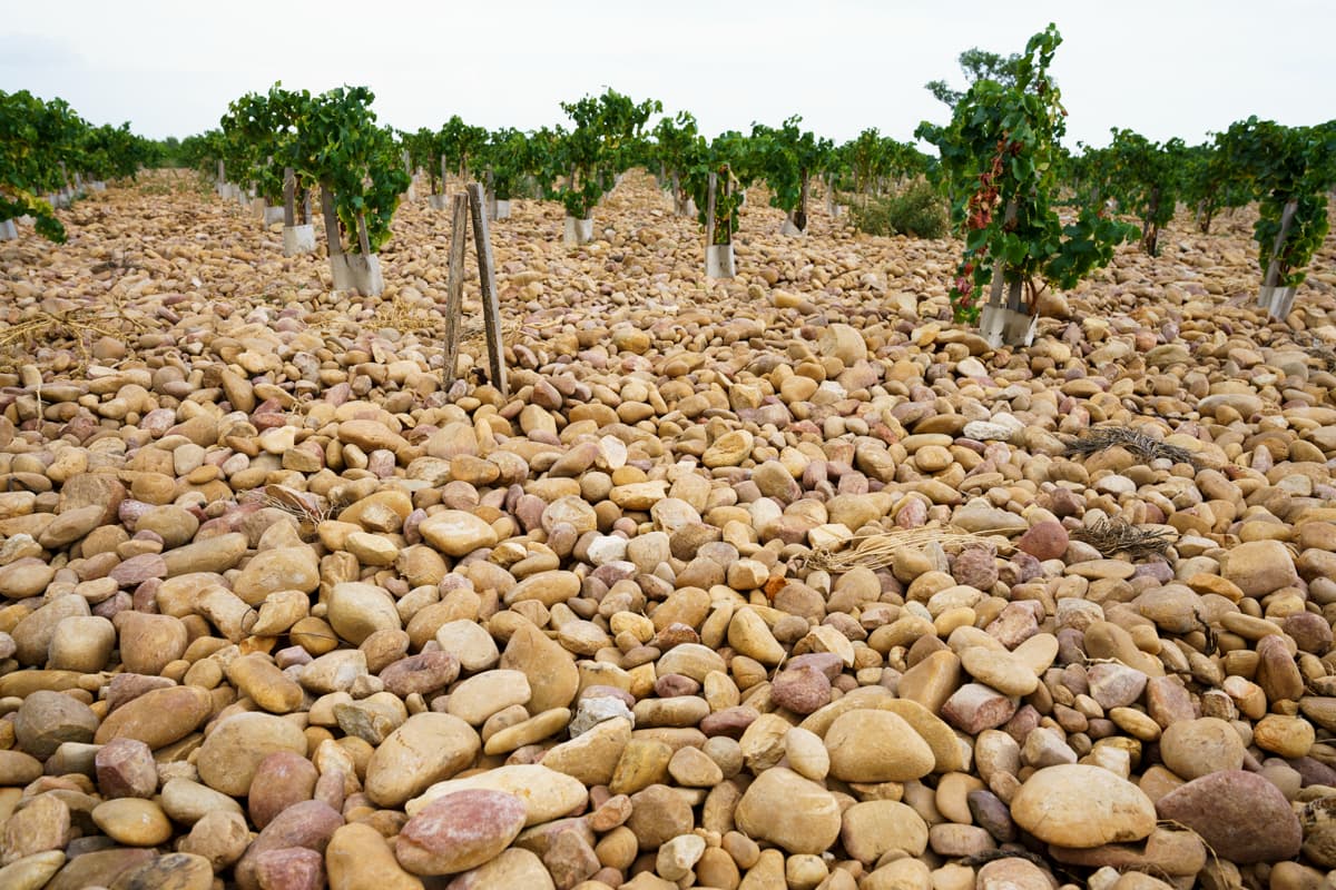 Chateauneuf du Pape and Hermitage - pit stops during my recent vacation ...